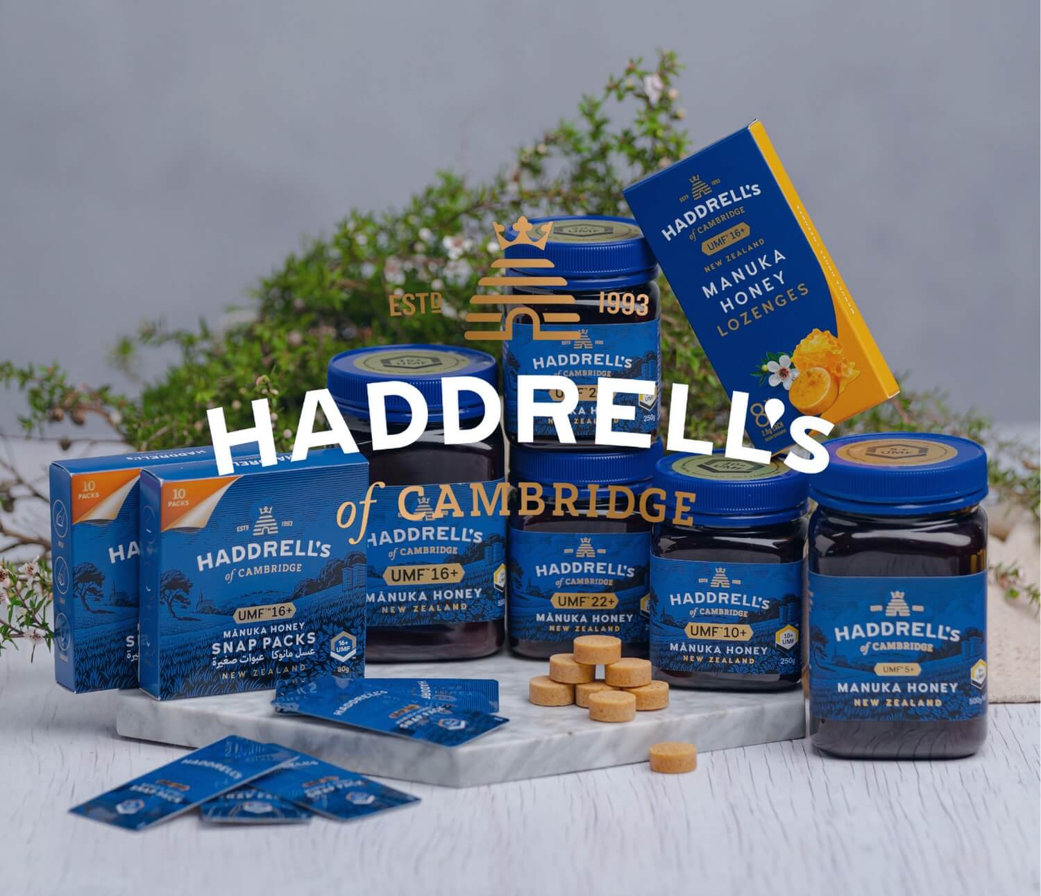 Shop Perfect Potion Products | Natonic