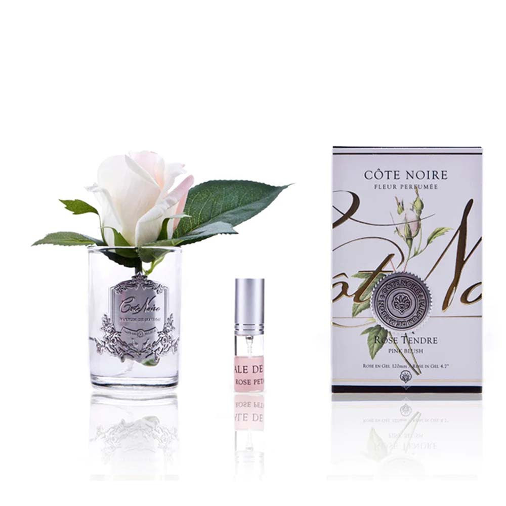 Cote Noire Pabangong Natural Touch Rose Bud sa Clear at Pink Blush ...