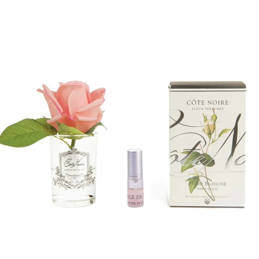 Cote Noire Perfumed Natural Touch Rose Bud in Clear and White Peach ...