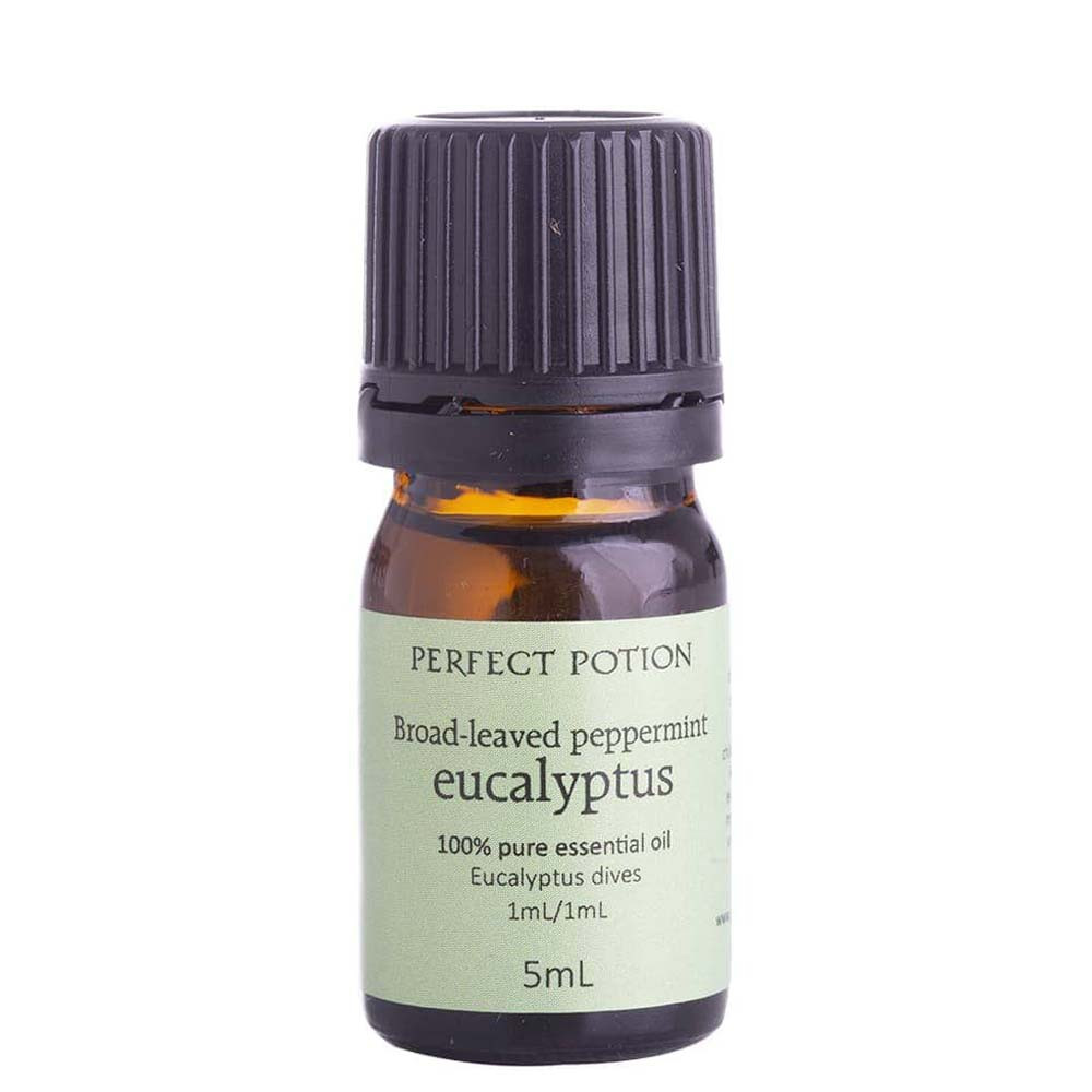 Perfect Potion Peppermint Eucalyptus Oil 5ml | Natonic