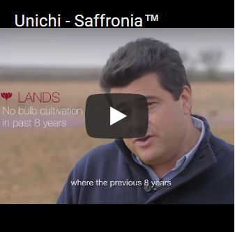 Unichi Saffronia 60 Tablets | Natonic