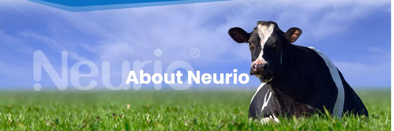 Neurio-Middle-Aged Powder with Lactoferrin 300g (10g x 30 sachets ...