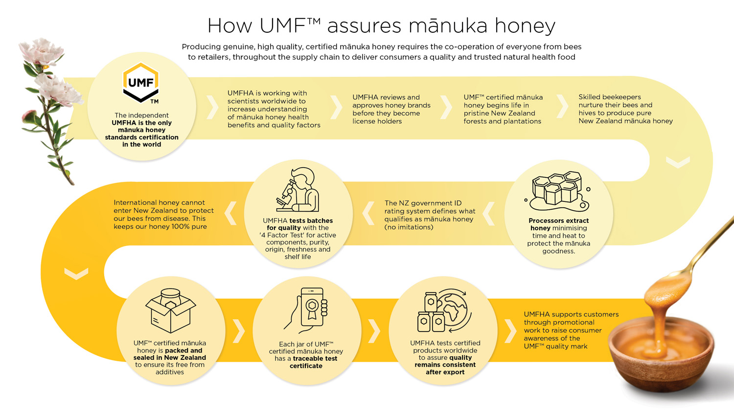 Haddrell's UMF 16+ Mānuka Honey 500g (MGO 573+) | Natonic