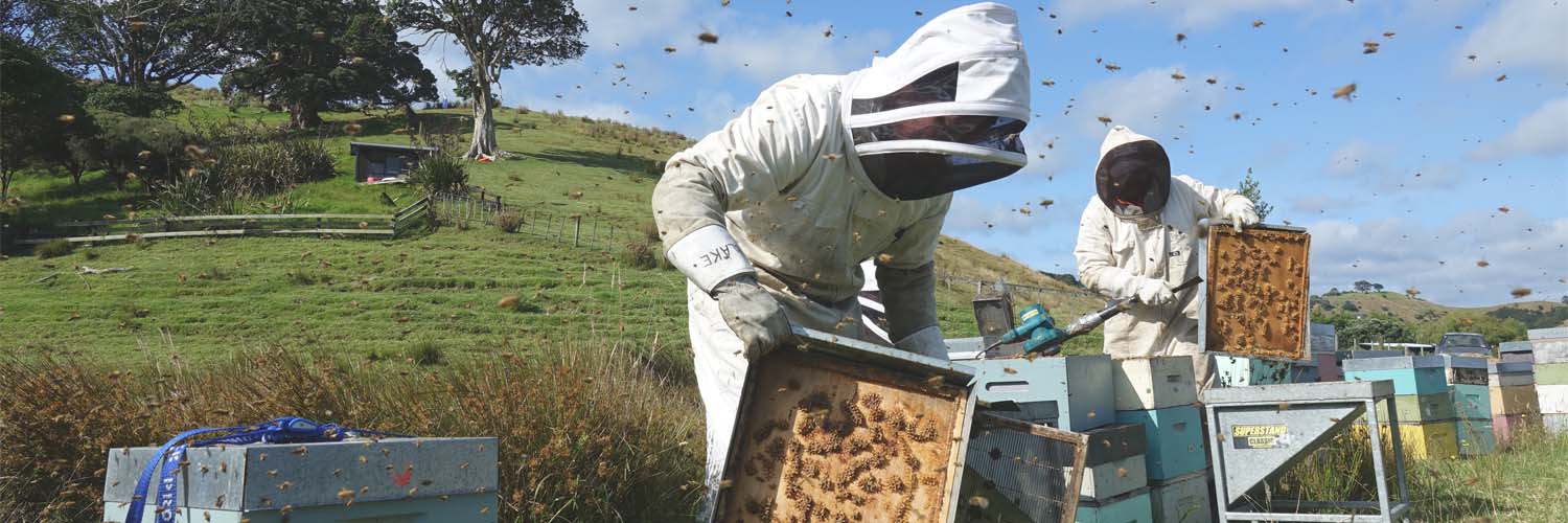 Haddrell's UMF 5+ Mānuka Honey 1kg (MGO 83+) | Natonic